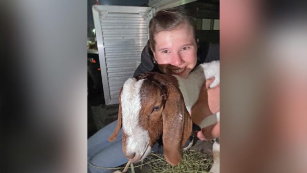 Sheriff: Animal Activist Arrested for Stealing Goat From Central High ...