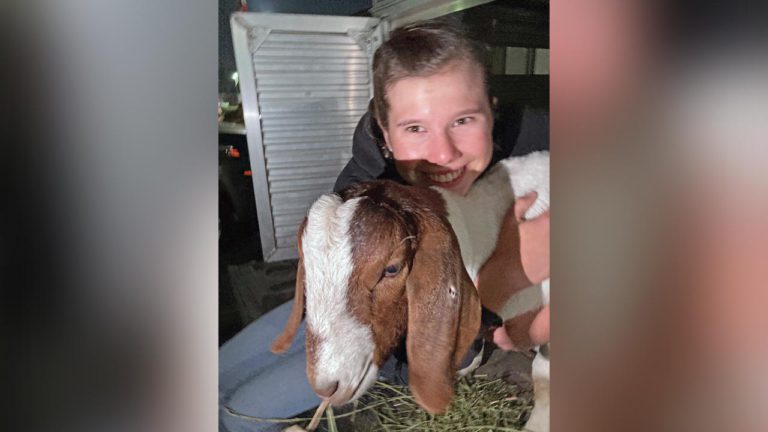 Sheriff: Animal Activist Arrested for Stealing Goat From Central High ...