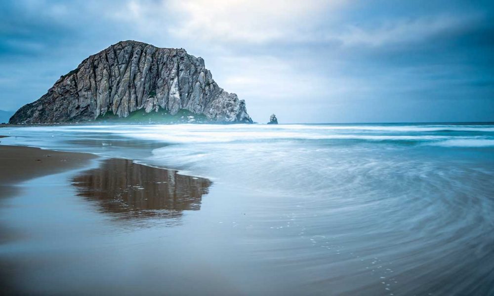 Shark That Killed Man in Morro Bay Was Likely a Great White - GV Wire ...