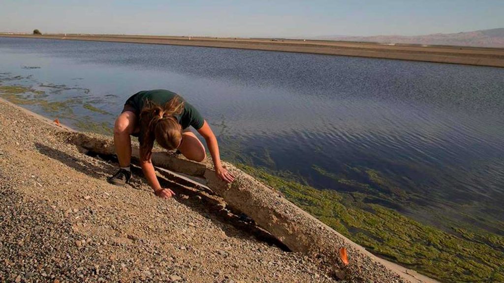 $200 Million Is Flowing to the Valley to Fix Sinking Canals - GV Wire ...