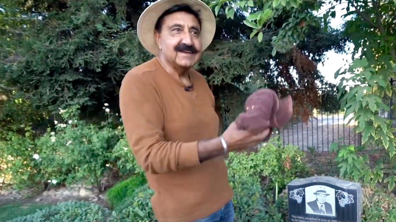 From India to Selma, Farming Is a Way of Life for the Brar Family - GV ...