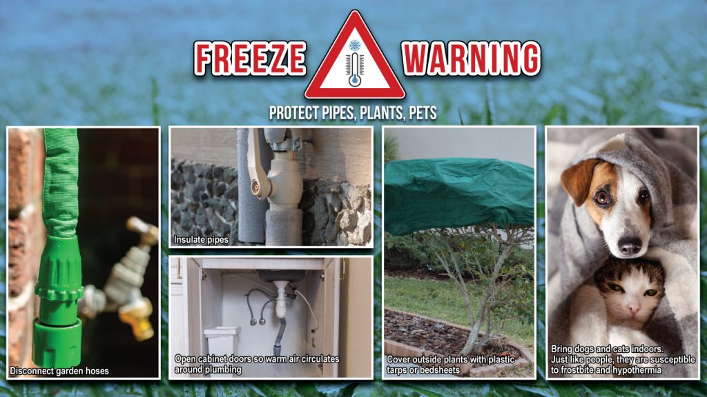 Freezing Temps and Frost Heading Fresno’s Way - GV Wire - Explore ...