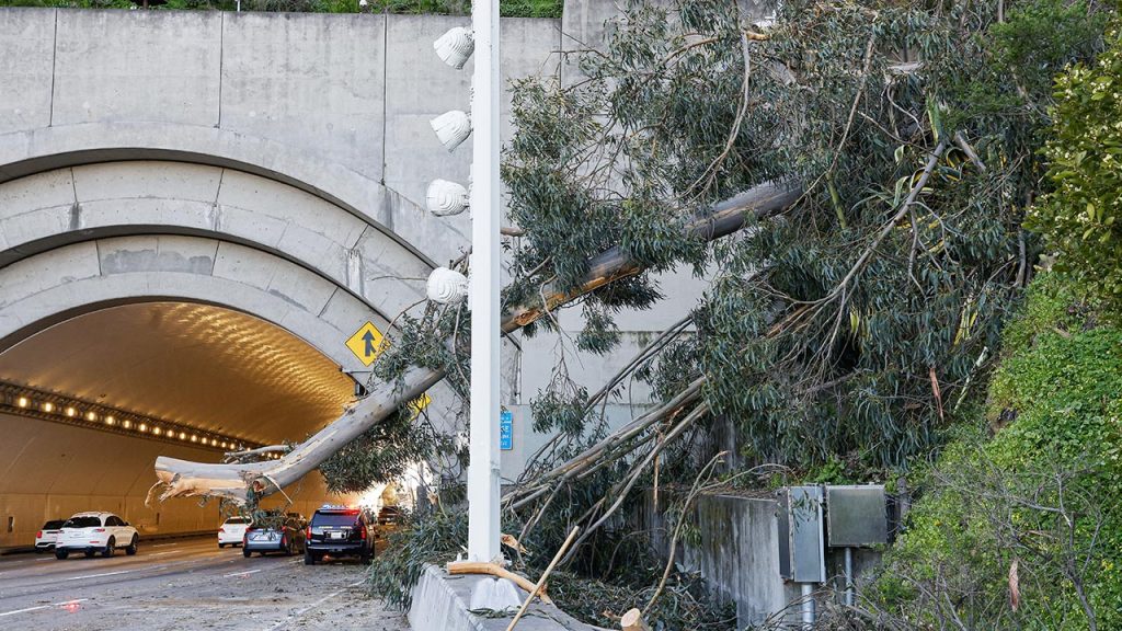 Snow in Fresno? It’s Happened 48 Times and Could Again Soon - GV Wire ...