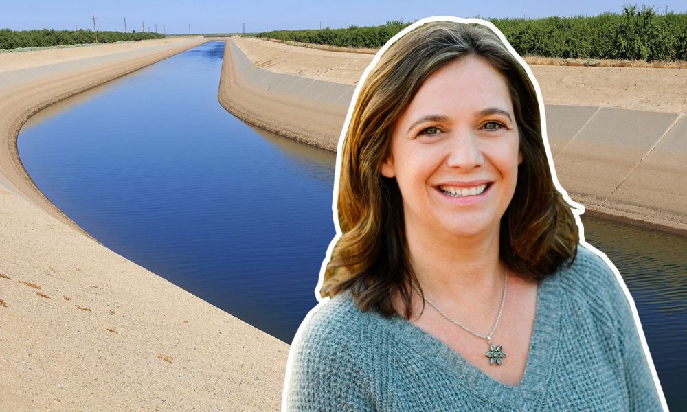 Allison Febbo Is Birmingham’s Successor at Westlands Water District ...