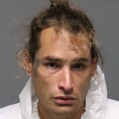 Fresno Police Make Quick Arrest in Stabbing Death of Homeless Woman ...