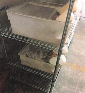 Federal Investigation Opens into Mysterious Reedley Medical Lab - GV ...