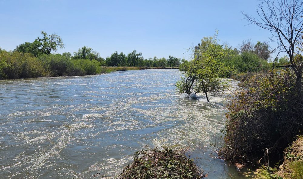 Kings River Reopens Just in Time for More Extra-Hot Weather - GV Wire ...