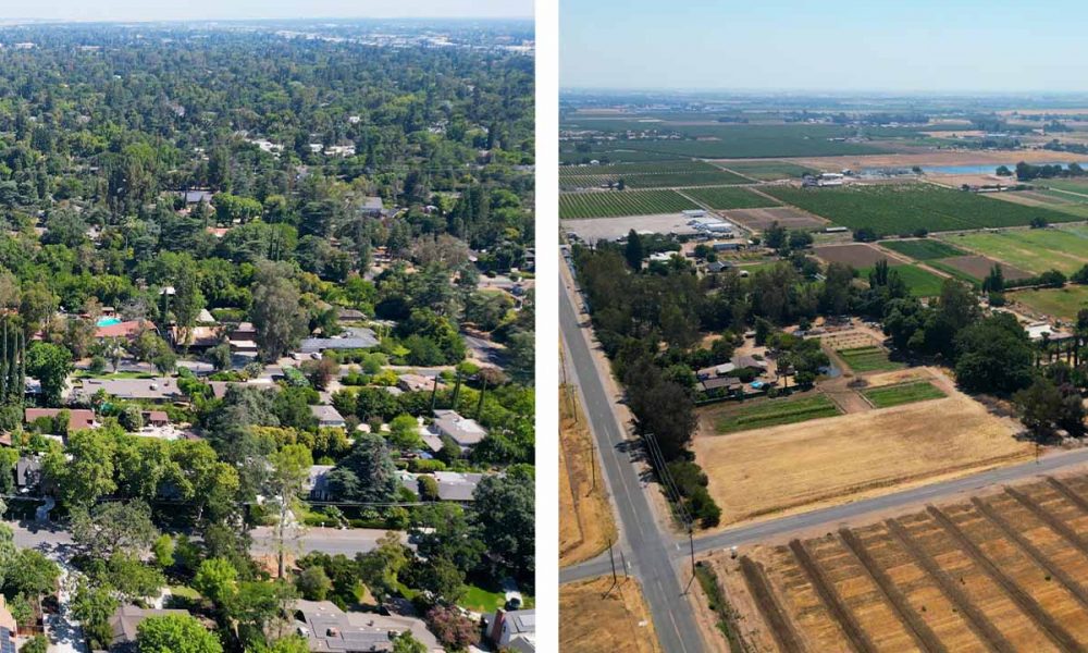 What Is Tree Equity and Does It Differ Between Fresno and Clovis? - GV ...